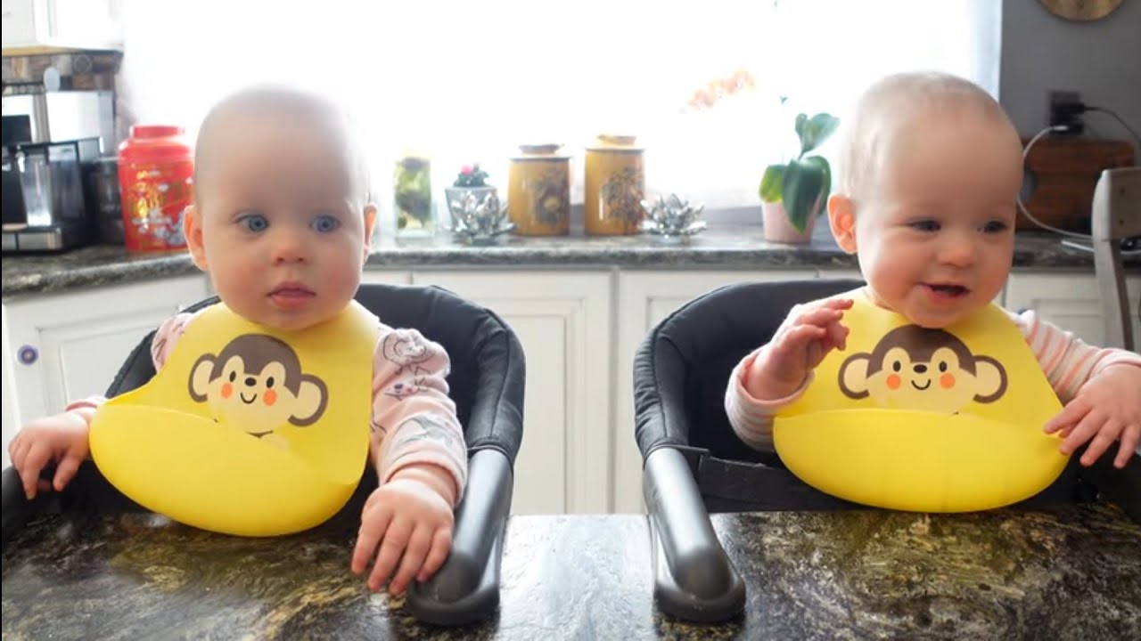 Twins try Gouda Cheese! - YouTube