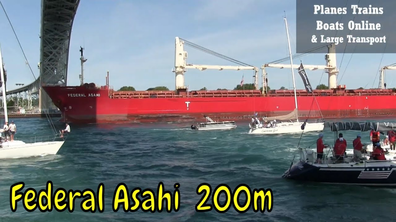 Federal Asahi 200m Ship Passing A Ton Of Big Sailboats - YouTube