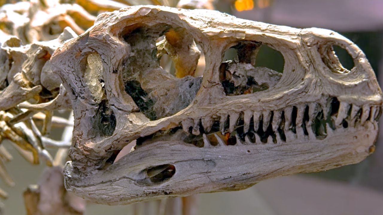 What is Carbon-14 Dating? - YouTube