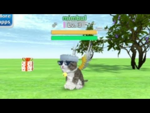 Kucing Soleh Pakai Peci | Kucing Gemoy | Mimbul | Kucing mencari Susu ...