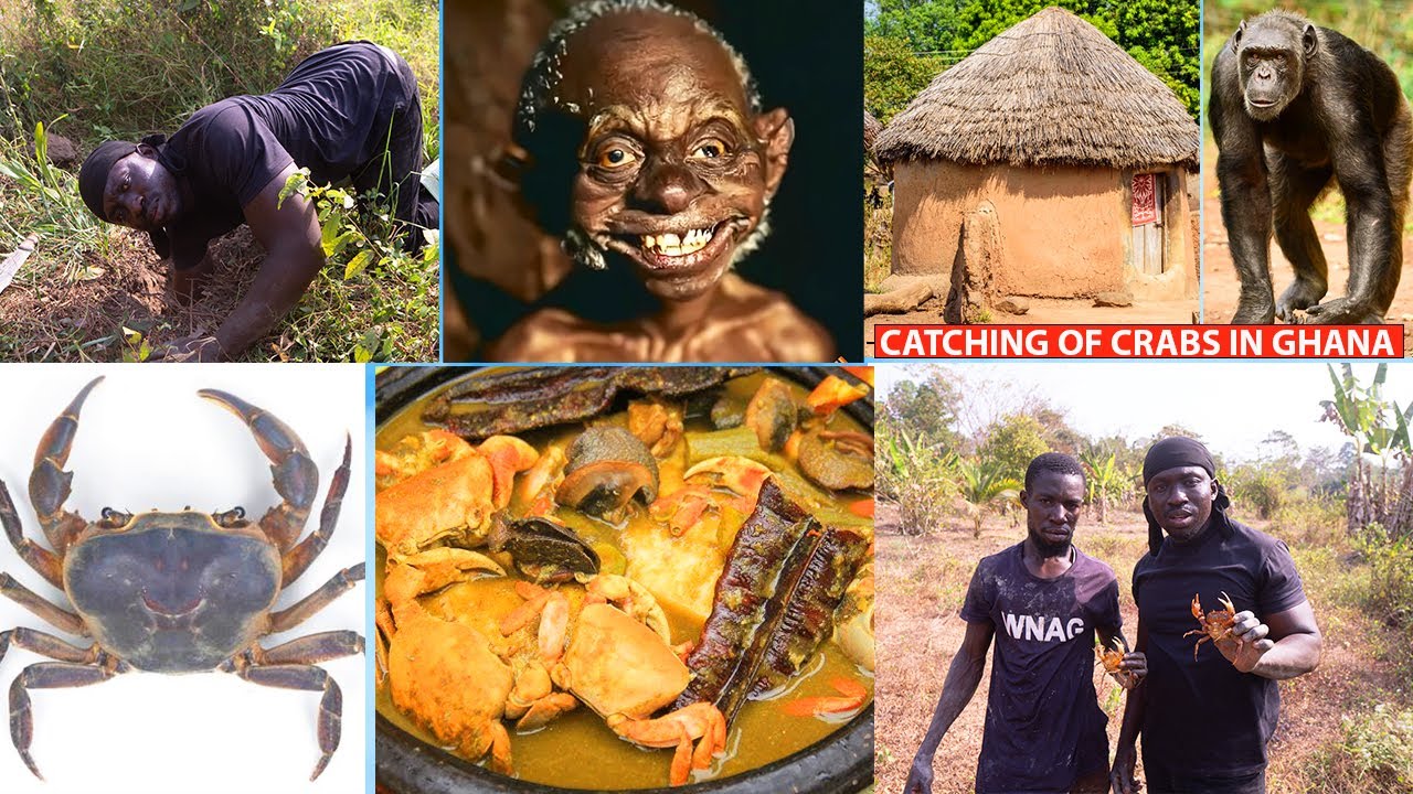 Beautiful culture of Ghana🇬🇭, How we catch crabs in our villages in ...