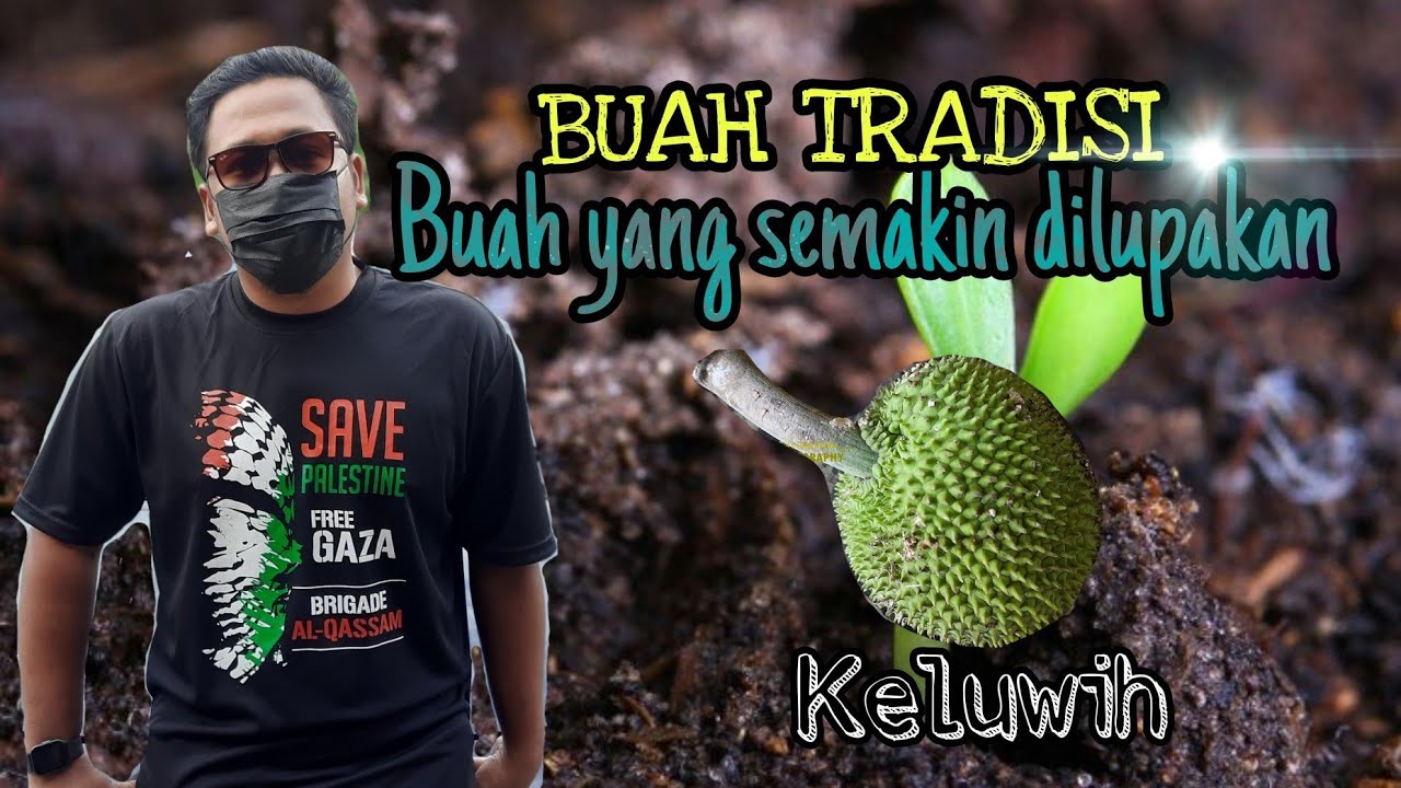 Semakin Pupus! Pokok macam Sukun,Buah macam Durian,Rasa macam nangka ...