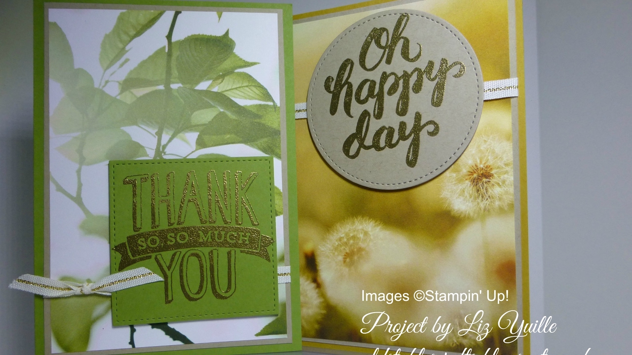 Stampin Up Tutorials - YouTube