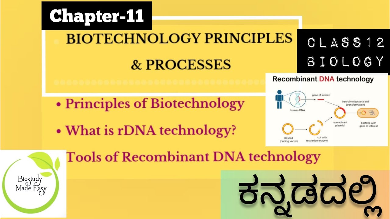 Class12 BIOTECHNOLOGY principles & Process ಕನ್ನಡದಲ್ಲಿ|2 pu biology ...
