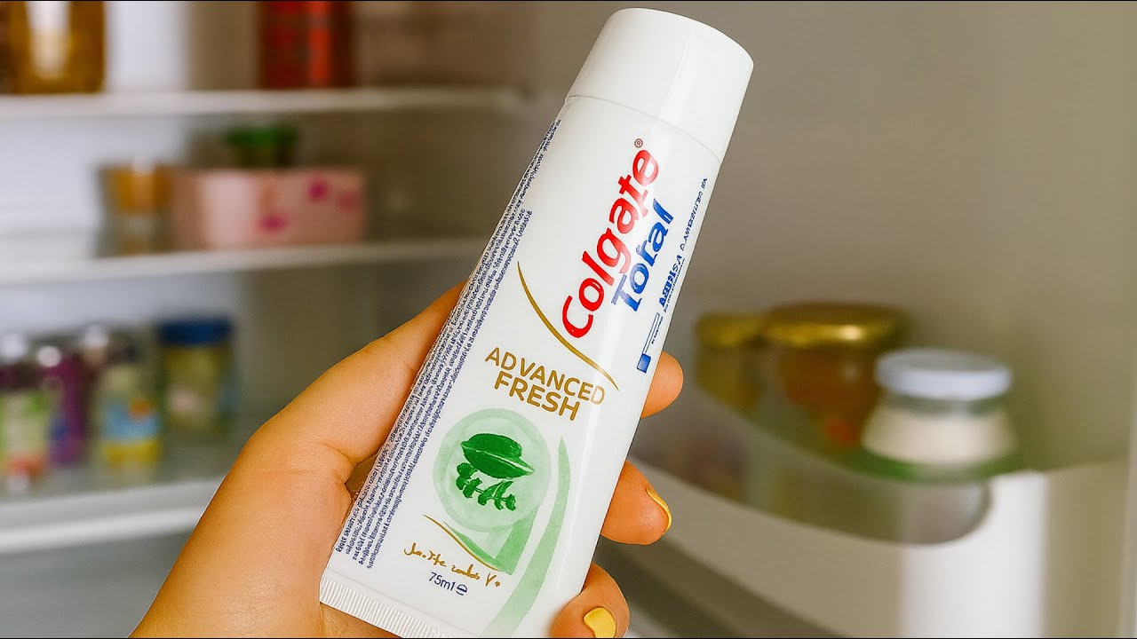 Toothpaste on the refrigerator seal. It removes mold and dirt instantly ...