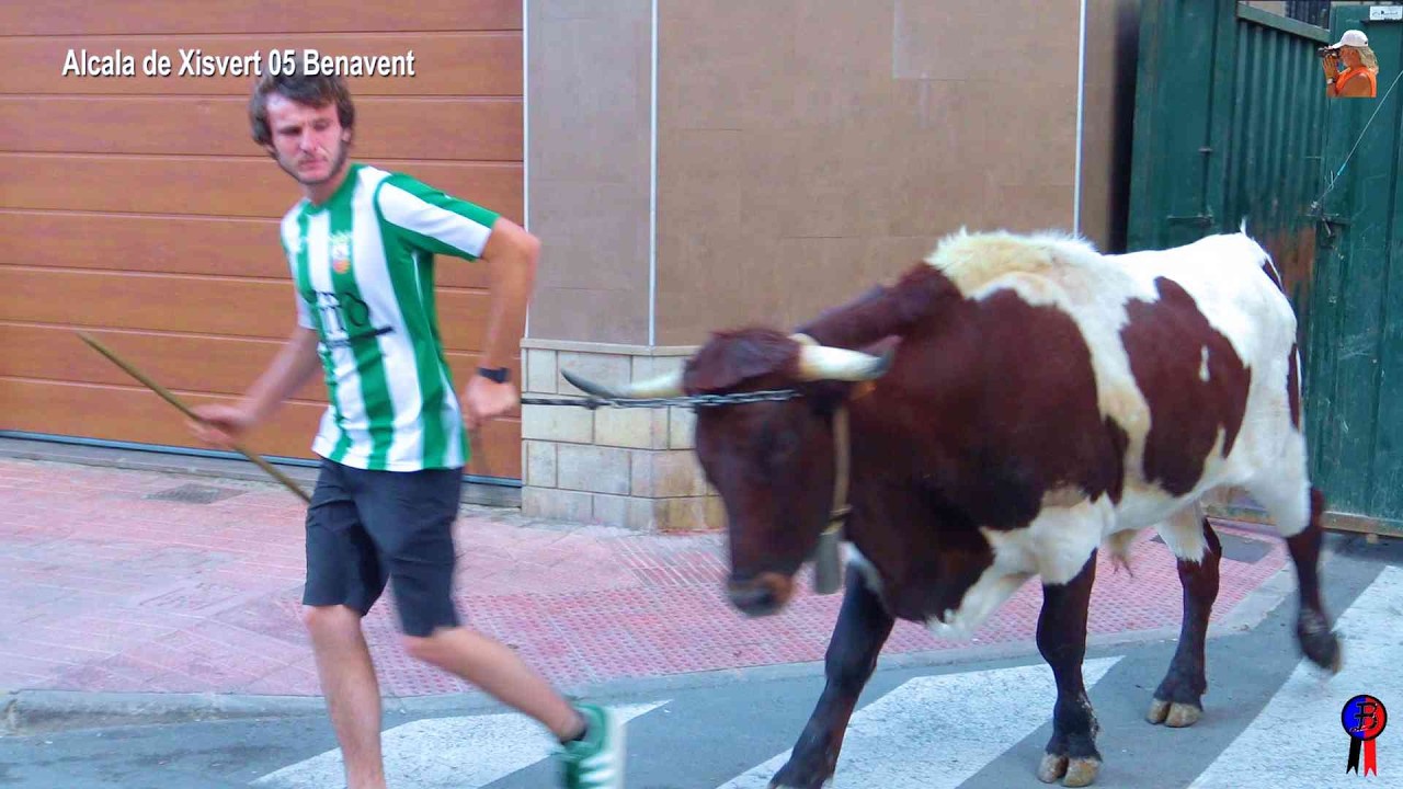 2026 Alcalá de Chisvert 05 NANDO Labores Ganaderas - YouTube