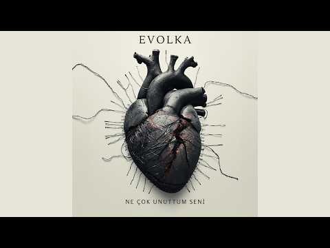 evolka - ne çok unuttum seni