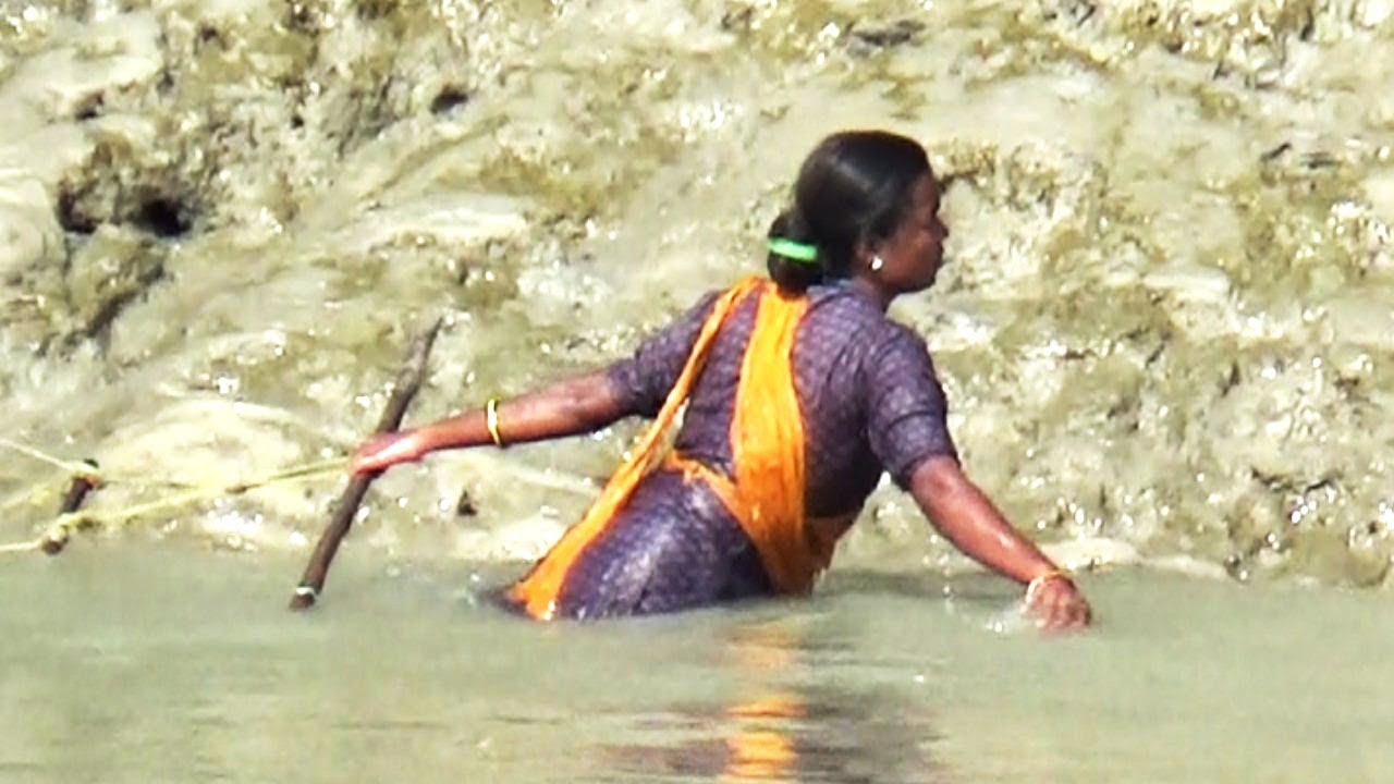 Rural women's fishing in Matla River West Bengal India - YouTube