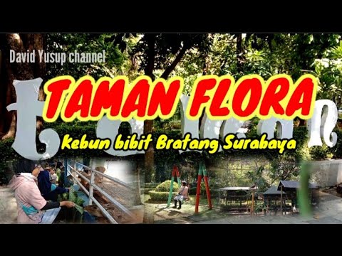 Taman Flora Surabaya || ada rusa dan perpustakaan di Kebun Bibit ...