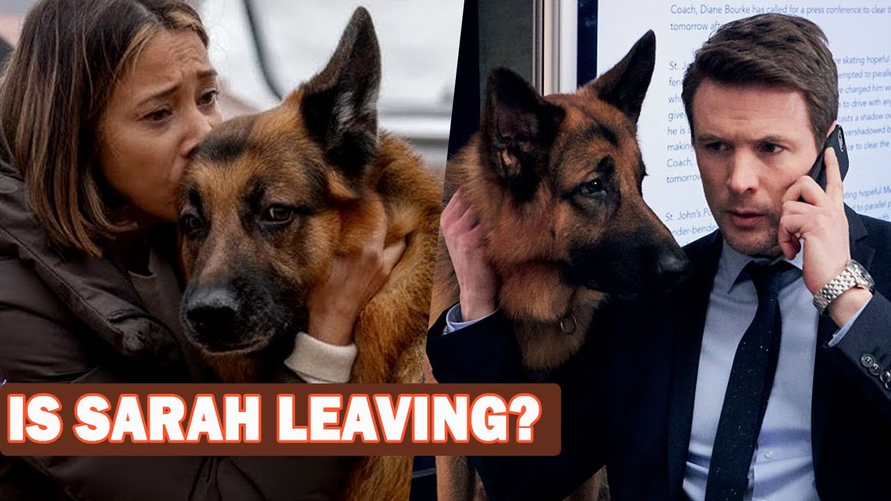 Is Sarah Truong Leaving Hudson & Rex? What We Know So Far - YouTube