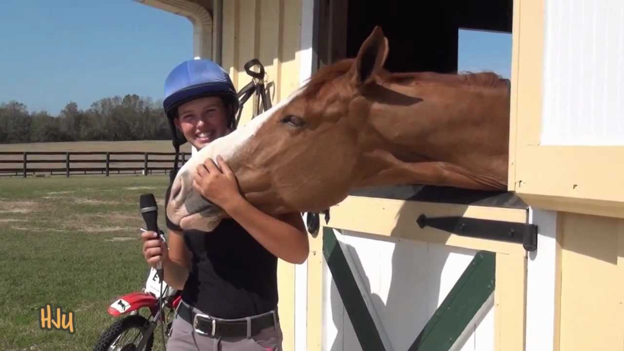 HorseJunkiesUnited.com - Rowdie Adams at O'Connor Event Team HQ Ocala ...