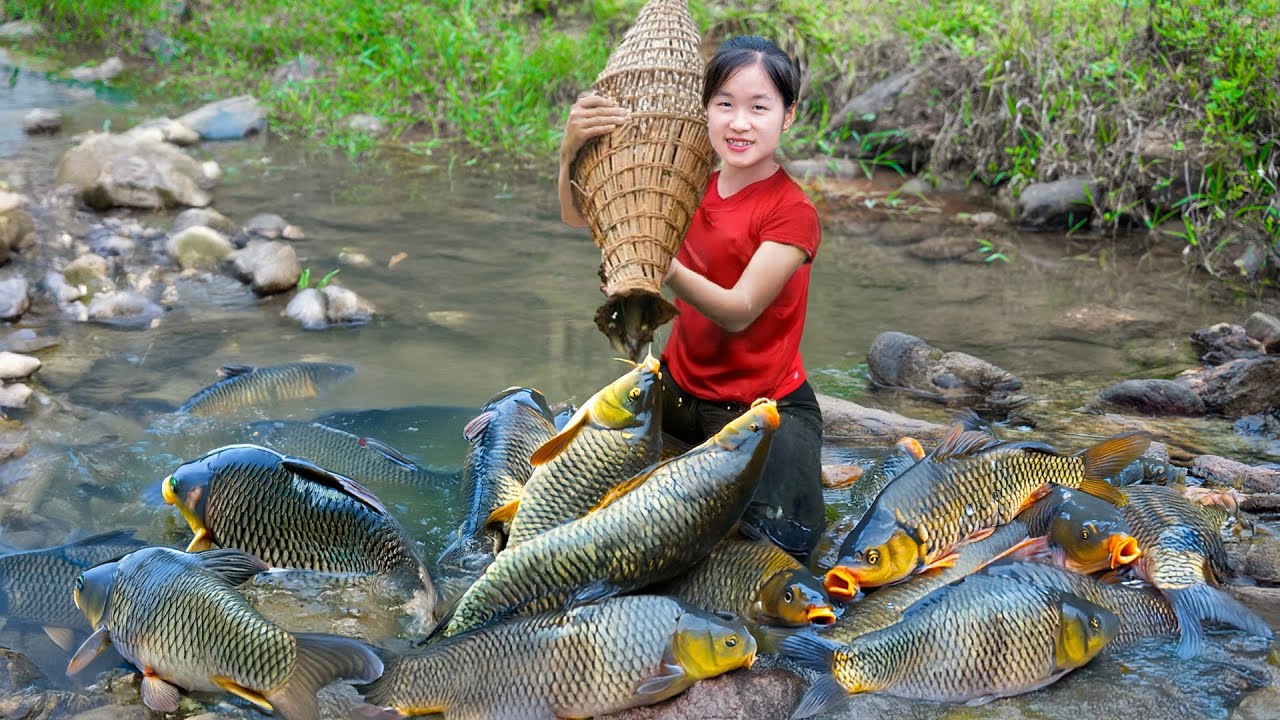 Harvest Big Perch Fish Using The Ancient Method | Survival Fishing ...