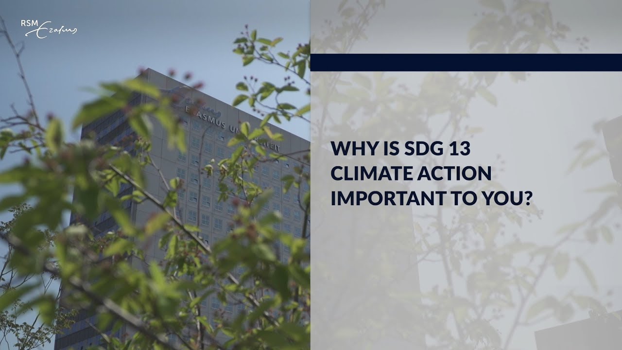 Why is SDG 13 important to you? - YouTube