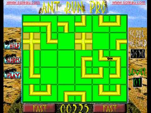 PC (Adobe, Shockwave) Longplay [71] Ant Run Pro Demo