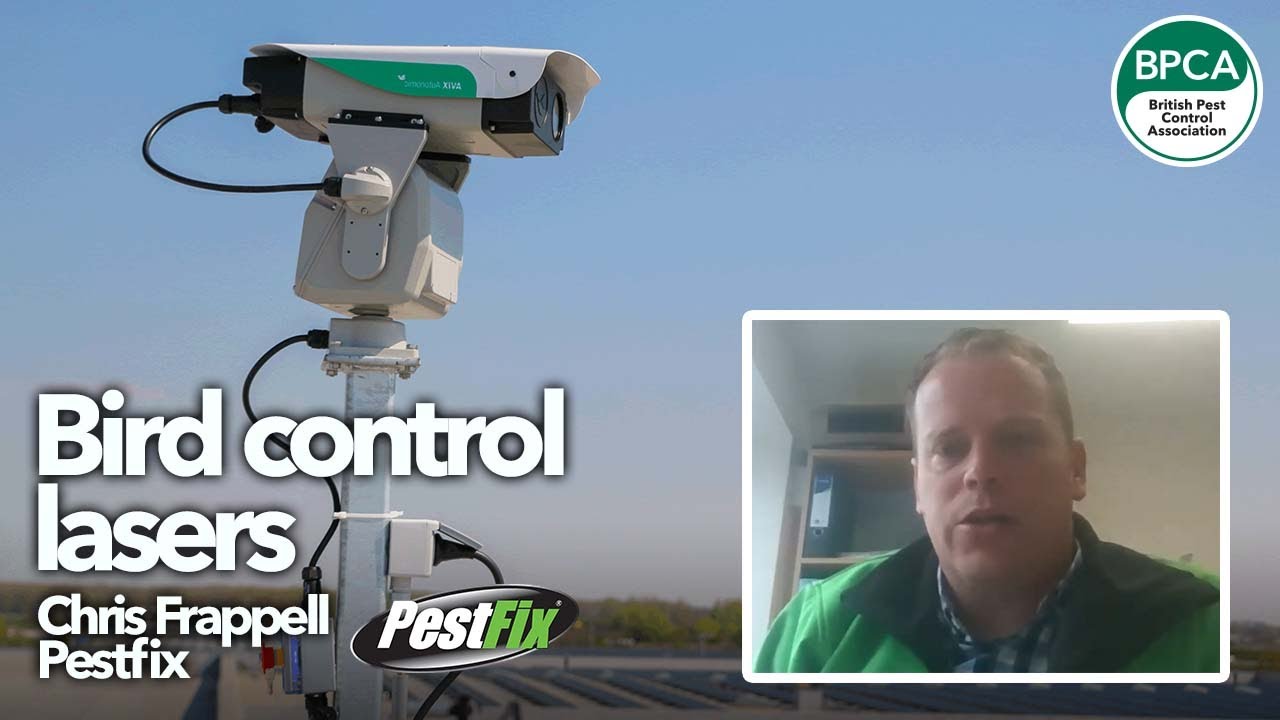 Bird control lasers explained | Digital Forum 9 - YouTube