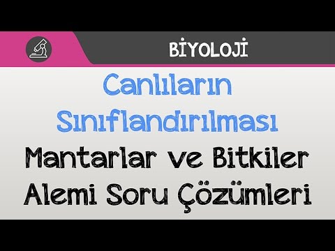 Canlıların Sınıflandırılması - Mantarlar ve Bitkiler Alemi Soru Çözümleri