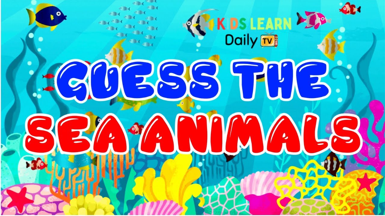 Guess the Sea Animal | Fun Educational Video with Friendly Shark Clues ...