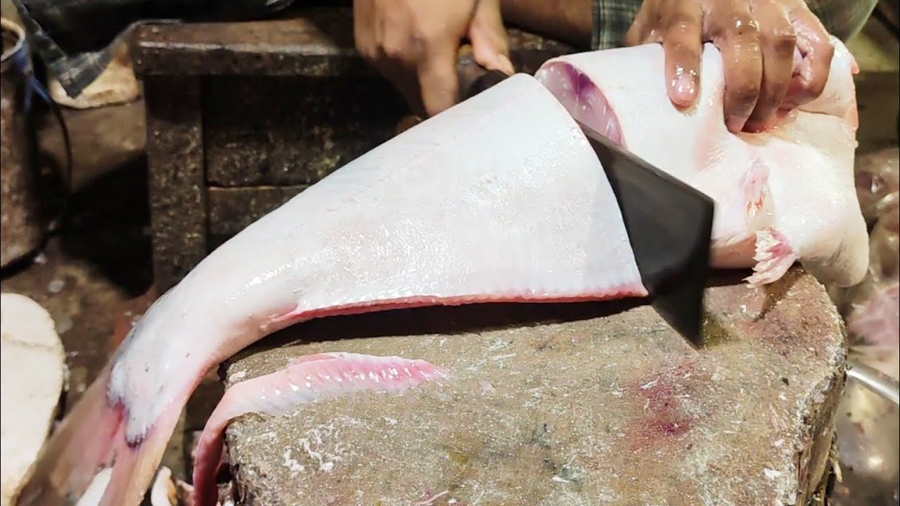 Amazing Giant Pangash catfish cutting skills live in Bangladeshi Big ...