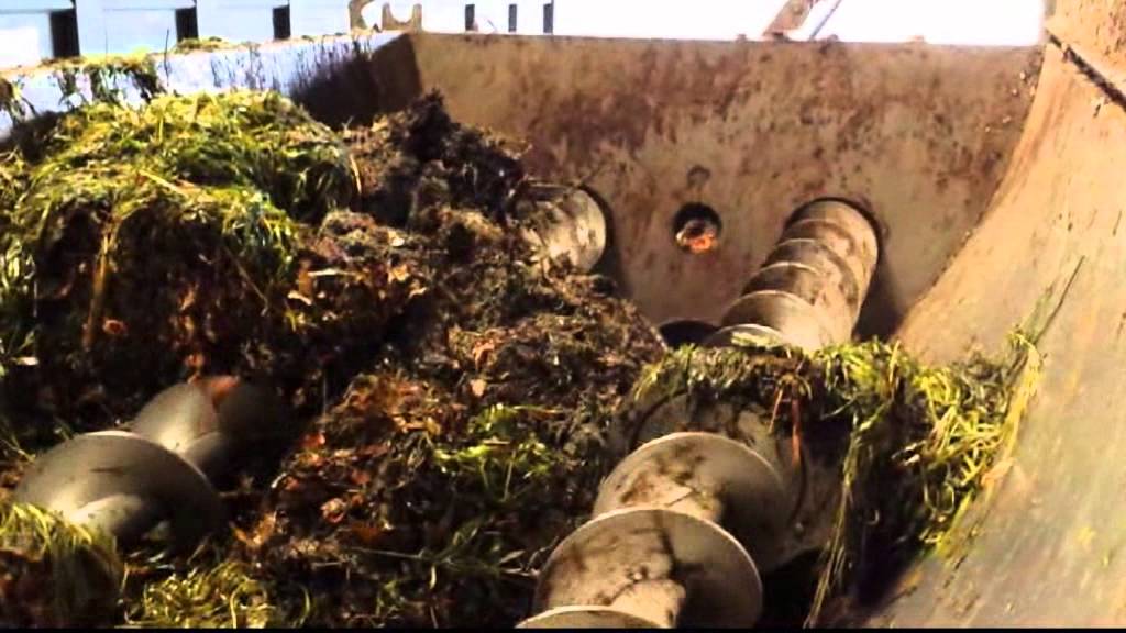 DODA Bio Separator Algae Processing - YouTube