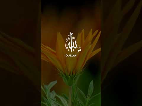 Hamza Boudib - Haşr Suresi 23-24 ᴴᴰ O Allah ki,O'ndan başka ilah yoktur, En güzel isimler O'nundur