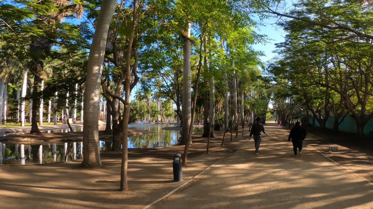 Running en el Jardín Botánico Benjamín Johnston "Parque Sinaloa" Los ...