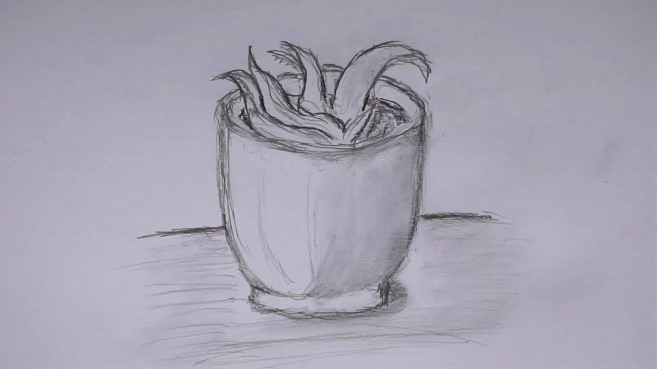 Flower Pot Still Life - YouTube