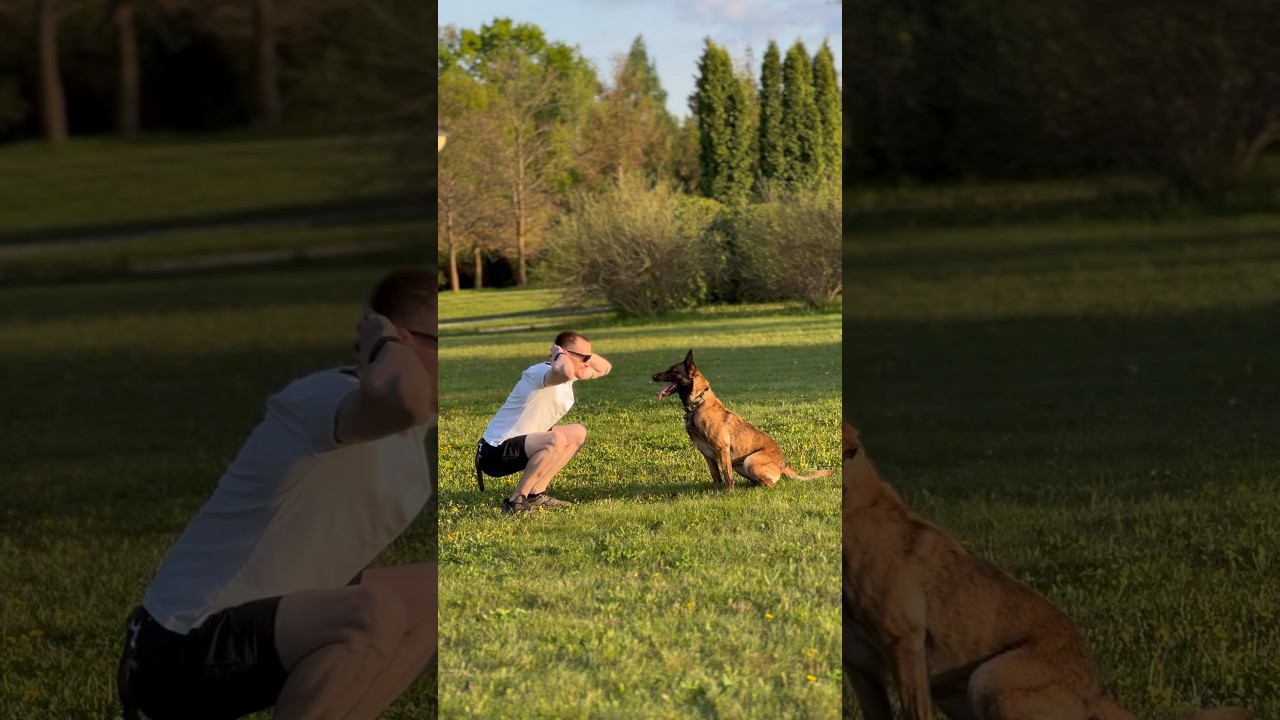 Insta: betty.malinois - YouTube