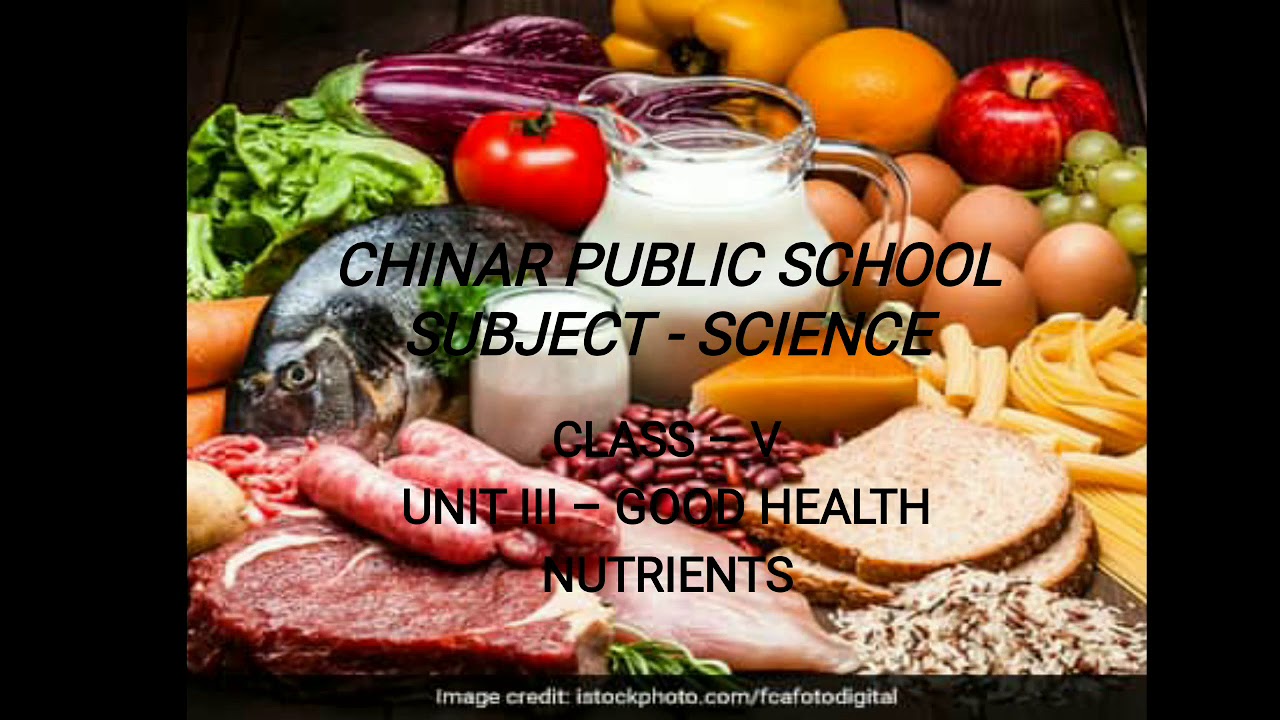 Science Class 5 Youtube 8159