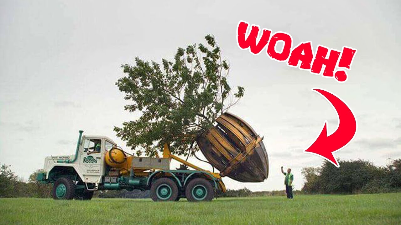 AMAZING Moving Trees to New Planting Location with Modern Machinery ...