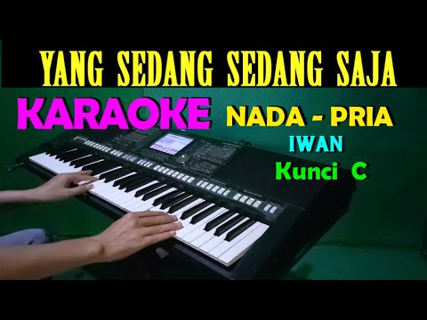 YANG SEDANG SEDANG SAJA - Iwan | KARAOKE Nada Pria