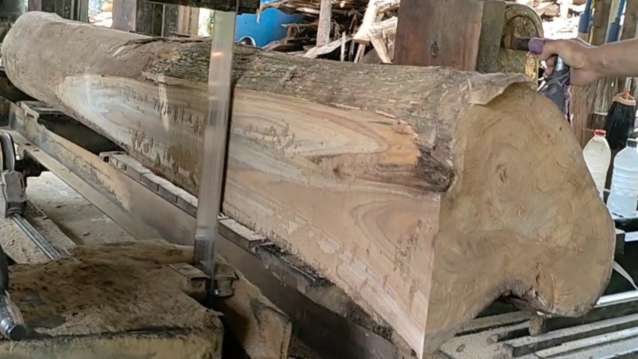 Big Wood teak at sawmill, amazing old wood cutting worth hundreds of ...