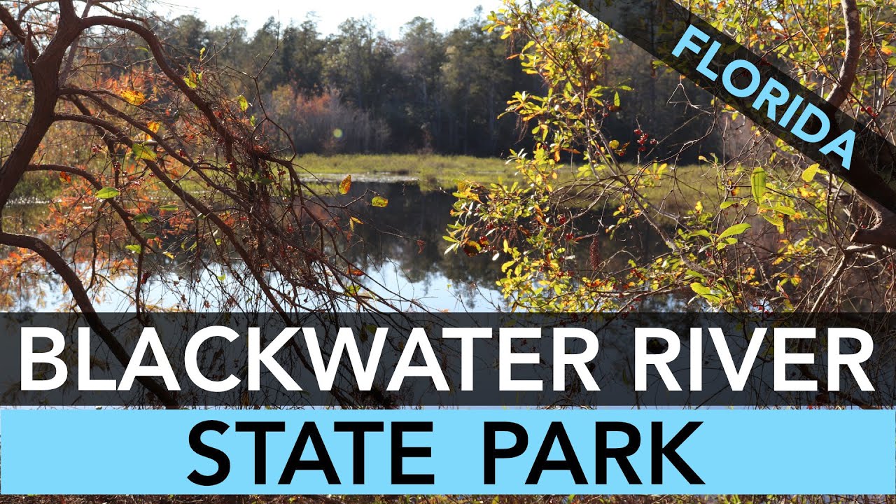 Blackwater River State Park, Florida - Campground Review - YouTube
