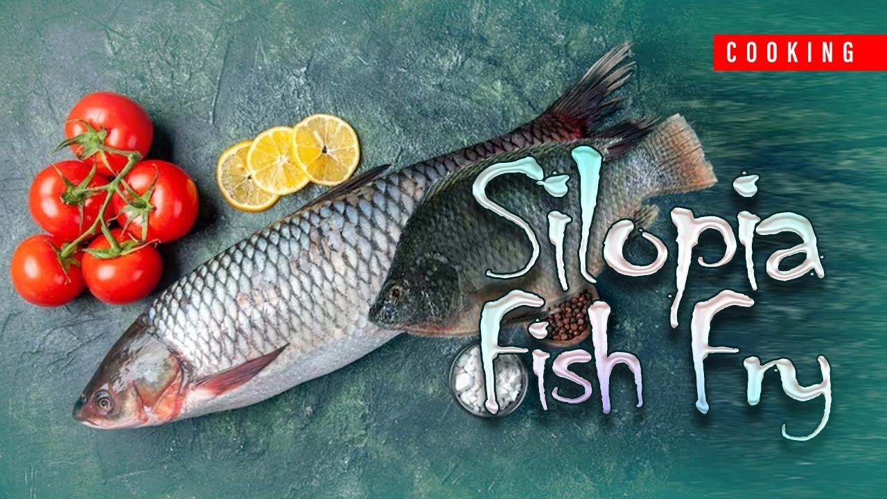 silopi fish fry - YouTube