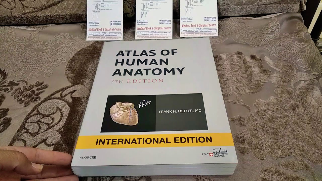 NETTER ATLAS OF ANATOMY COMPLETE REVIEW - YouTube