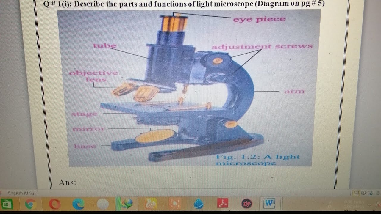 6th Science Book Back Question And Answer Reading Chapter No 1 Online 6th-science-book-back-question-and-answer-reading-chapter-no-1-online