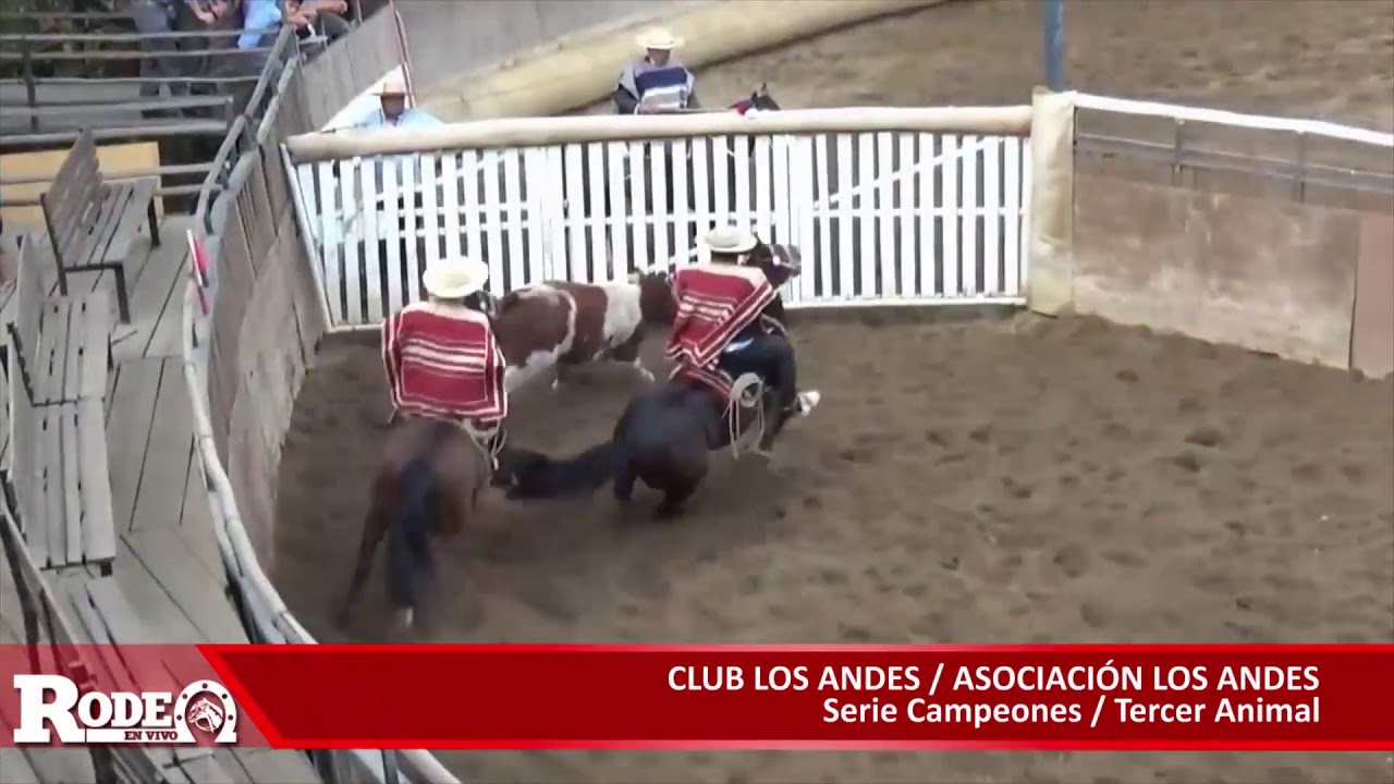 RODEO EN VIVO 75 CLUB LOS ANDES FEBRERO 2019 - YouTube