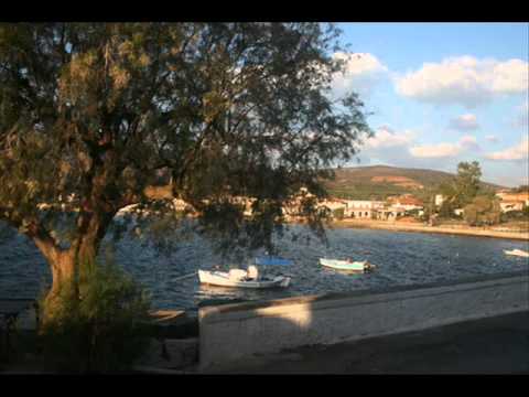 ΕΛΙΑ ΛΑΚΩΝΙΑΣ - YouTube
