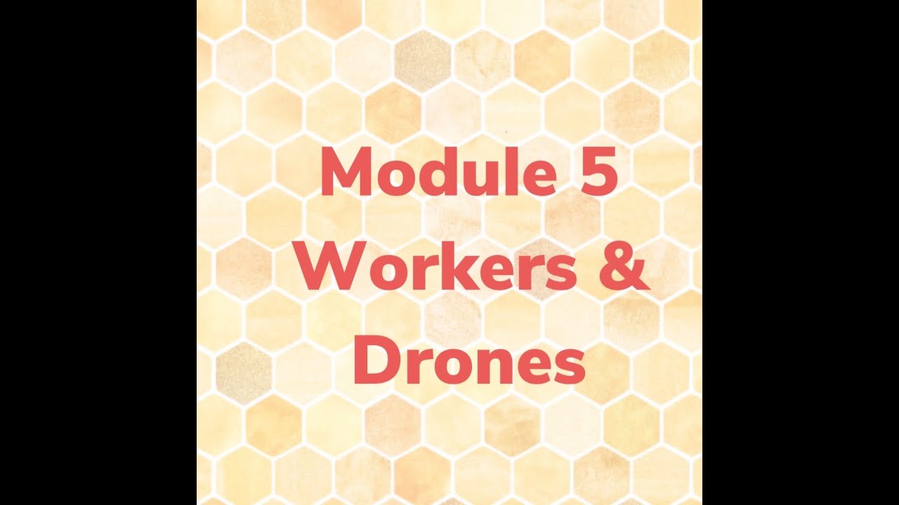 Module 5 workers & drones - YouTube