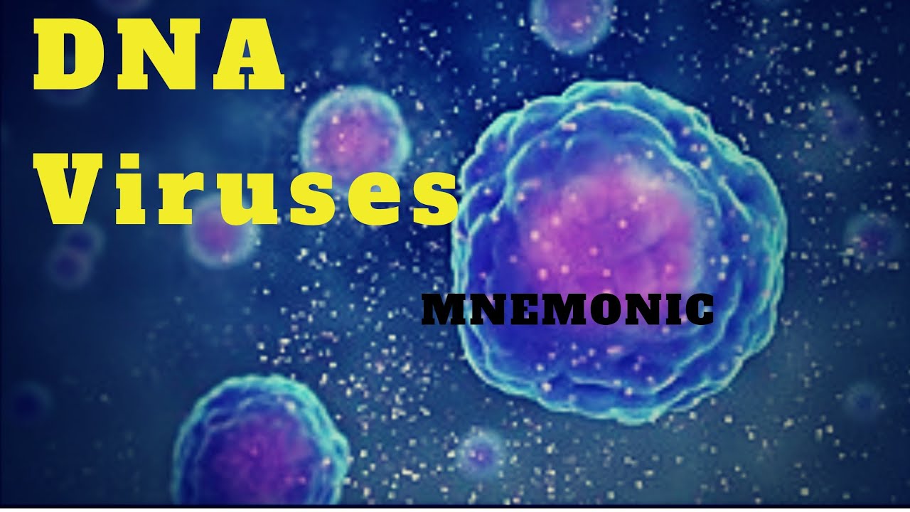 DNA Viruses names mnemonic - YouTube