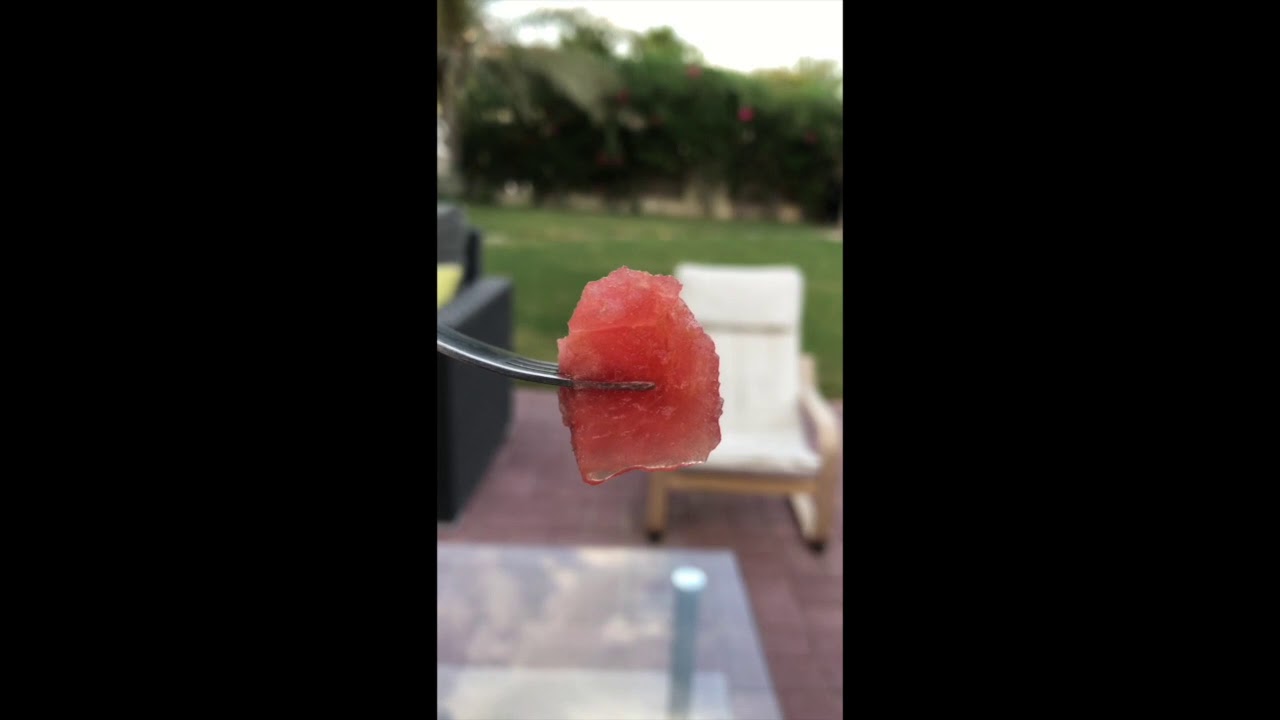 SamuelShark - The Watermelon of DEATH! - YouTube