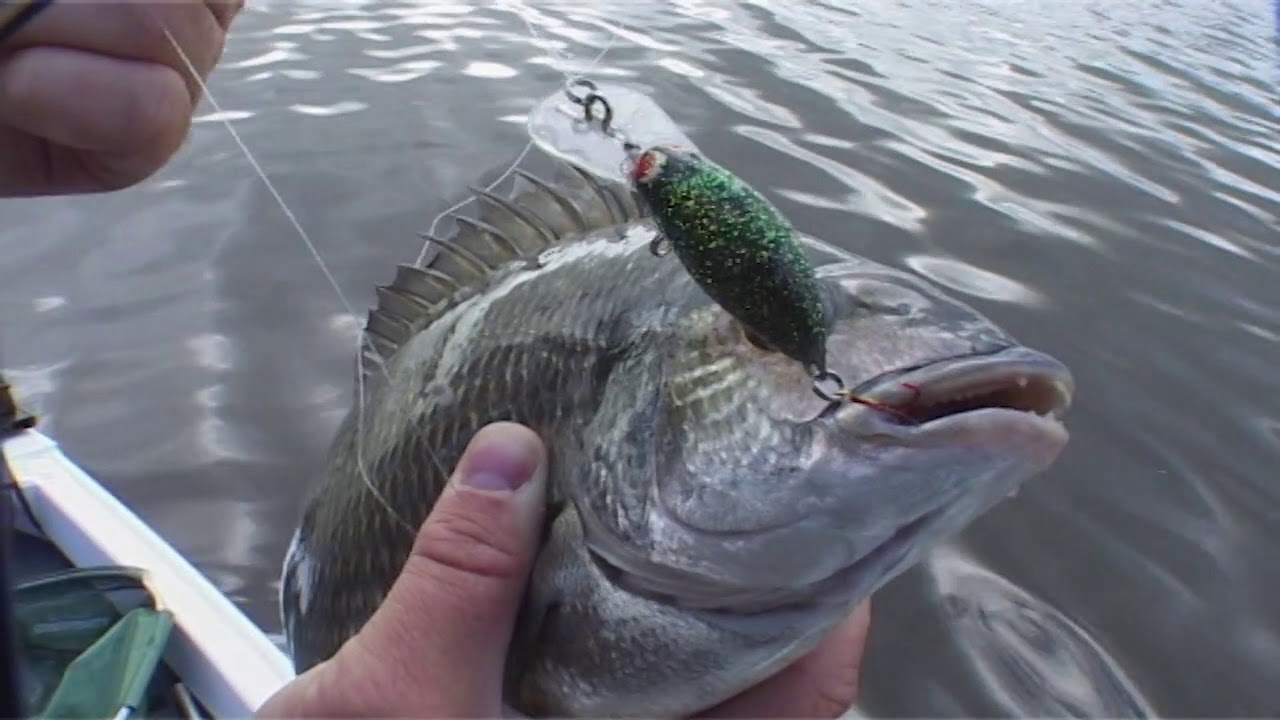 Swan River Fishing , Fishing WA Series 3 Ep 10 Part 1 - YouTube