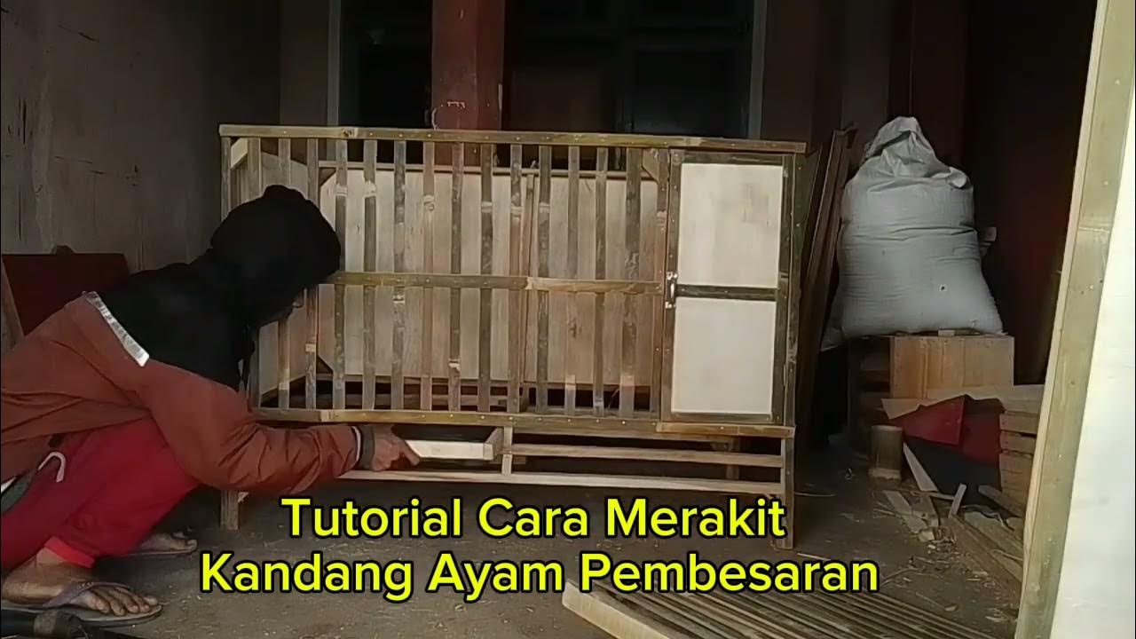 Tutorial Cara Merakit Kandang Ayam Bangkok Untuk Pembesaran - YouTube