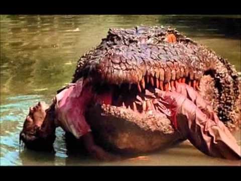 Top 7 de los Peores Animales Canibales - YouTube