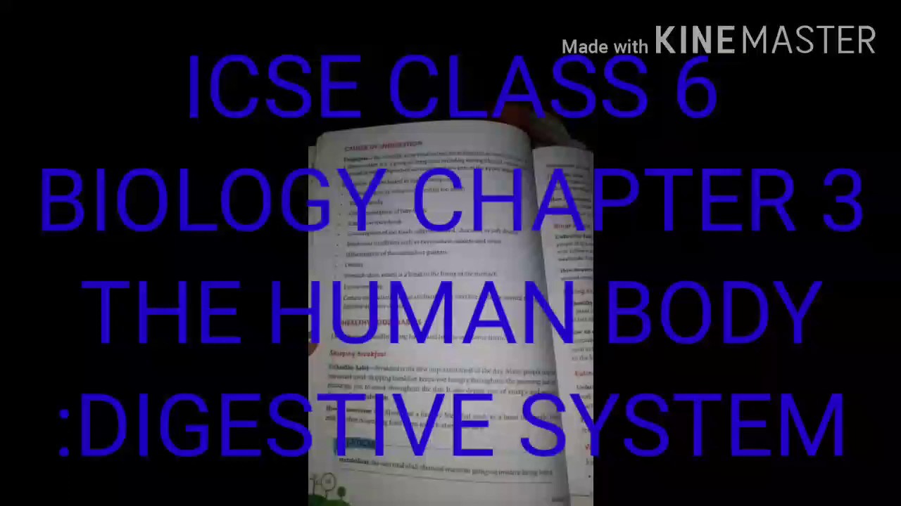 ICSE CLASS 6 BIOLOGY CHAPTER 3 THE HUMAN BODY:DIGESTIVE SYSTEM - YouTube