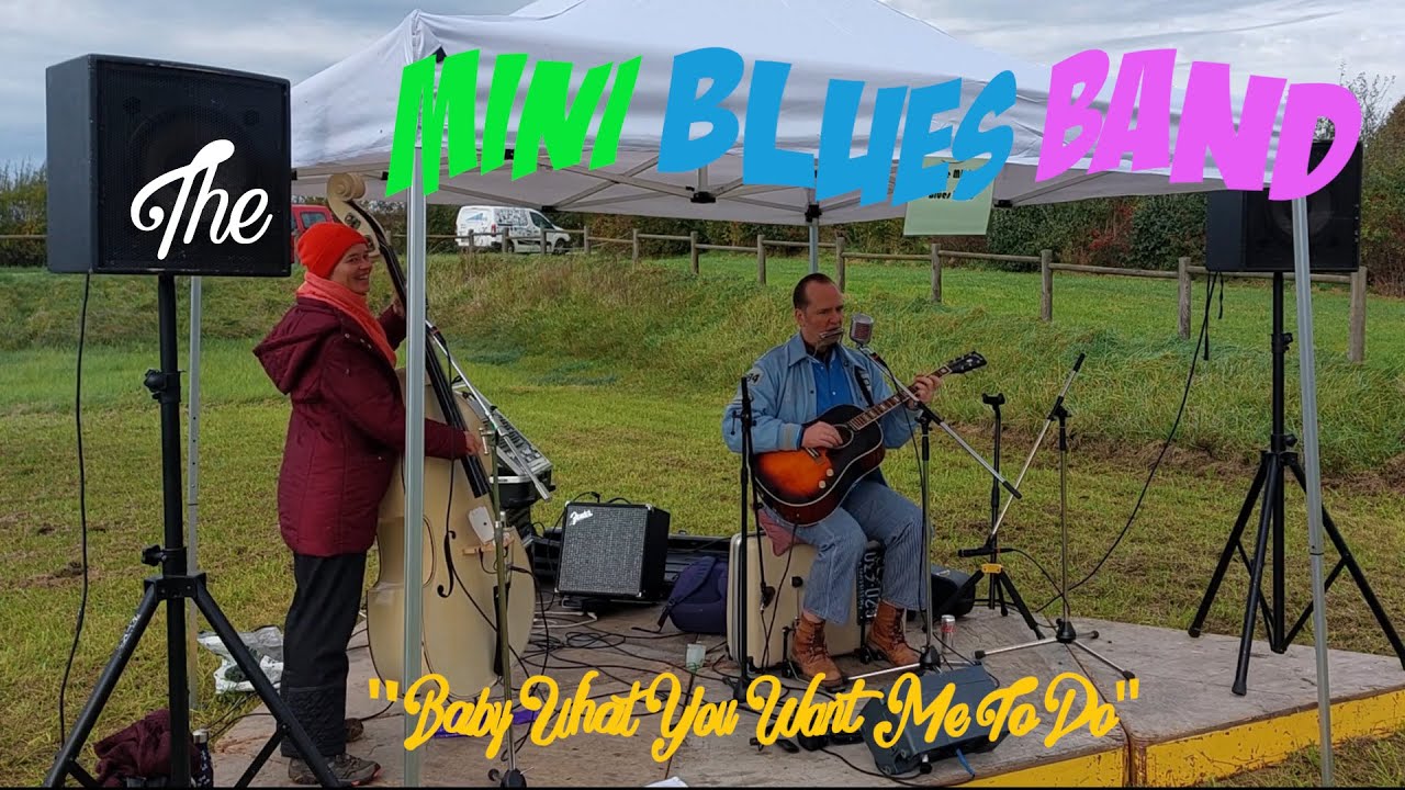 The Mini Blues Band — Baby What You Want Me To Do - YouTube