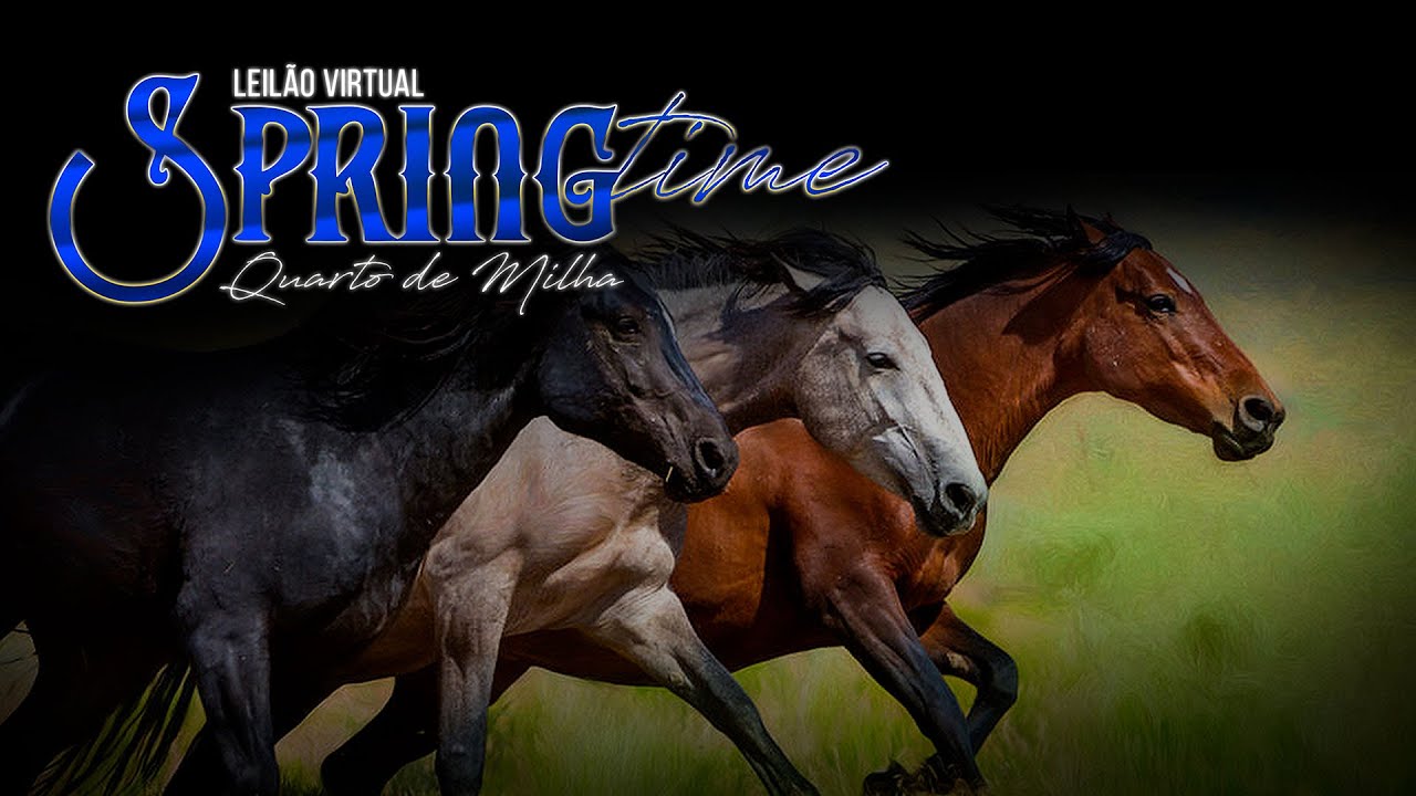 1º LEILÃO VIRTUAL SPRING TIME - YouTube