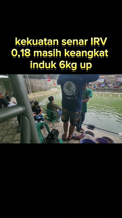 Senar IRV 0.18 taklukan Ikan 6kg up‼️ #fishing #umpanessen #irvanikanchannel #mancing # ...