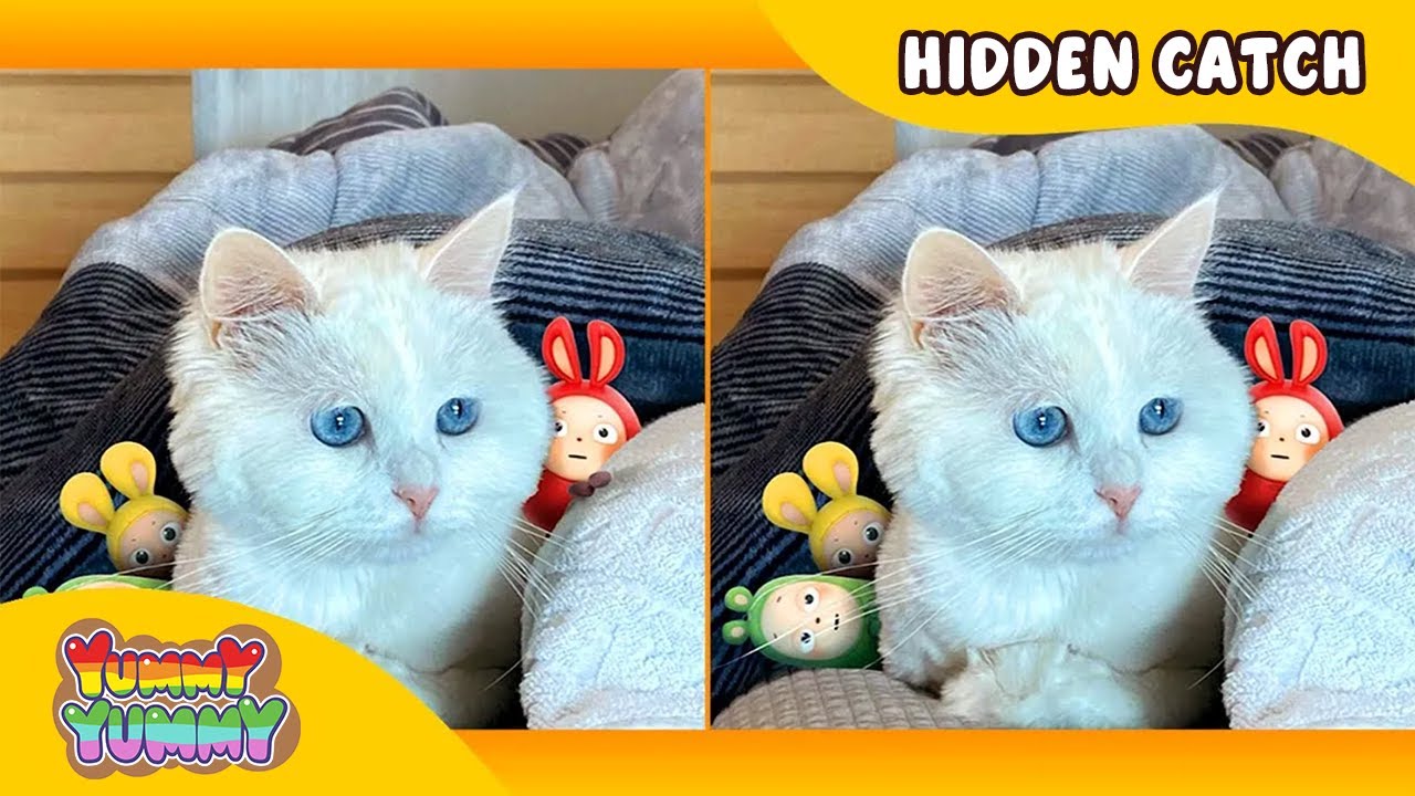 Yummy Yummy Spot the Difference: HIDDEN CATCH 14/ Find 5 differences in ...