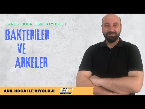 YENİ 9.SINIF-BAKTERİLER VE ARKELER KONU ANLATIMI