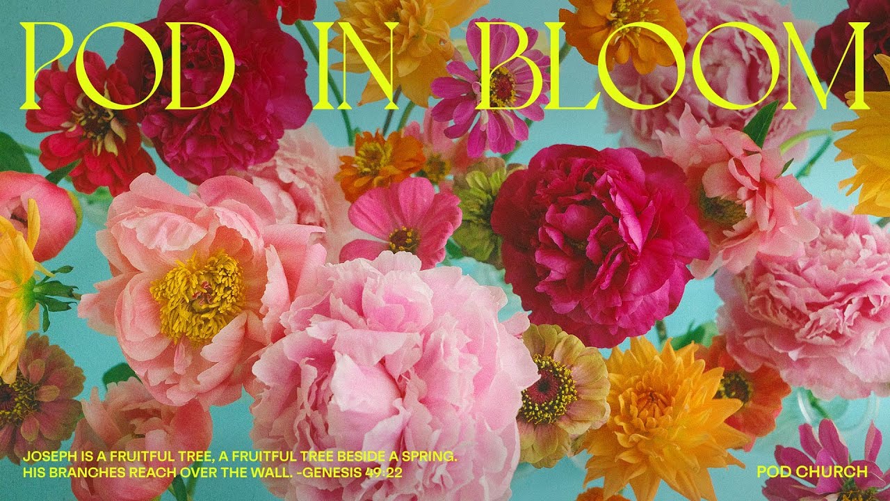 2024 SUMMER MARCHING "POD in Bloom" - YouTube